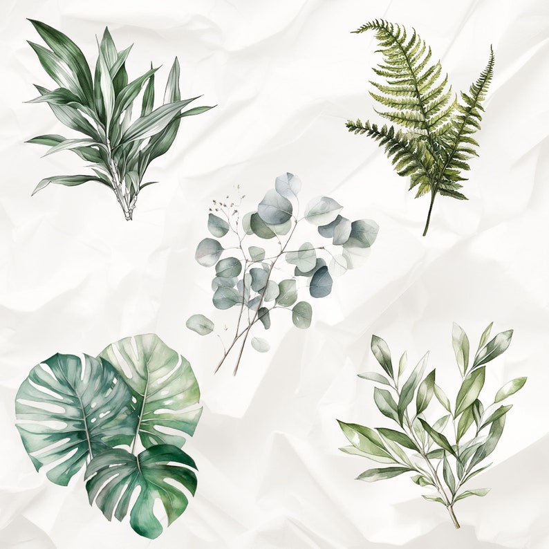 Greenery Watercolor Clipart, Wild Greenery Clipart, Green Leaves ...