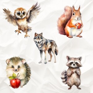 Woodland Animals Clipart Watercolor, Nursery Clipart, Fox, Bear, Deer ...