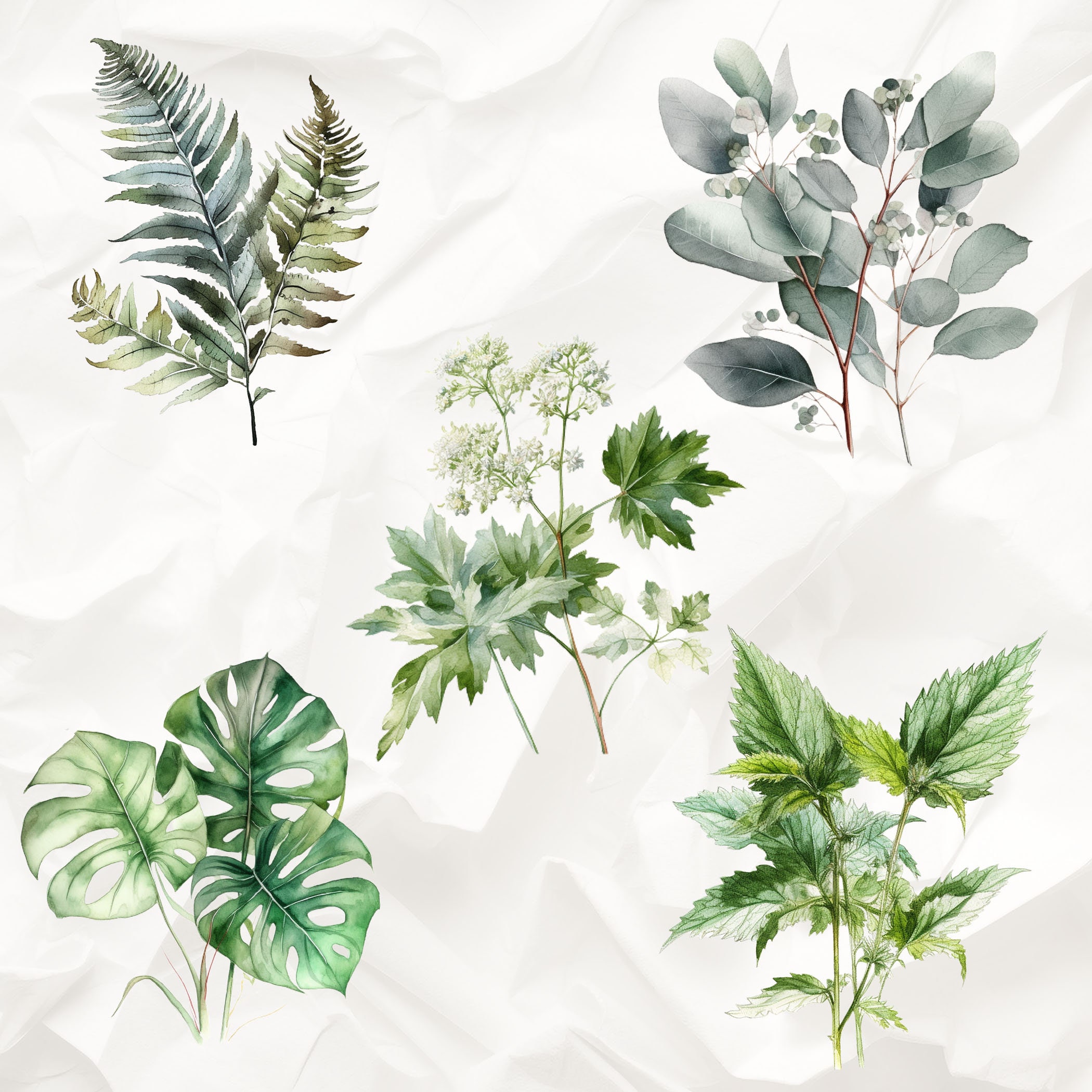 Greenery Watercolor Clipart, Wild Greenery Clipart, Green Leaves ...