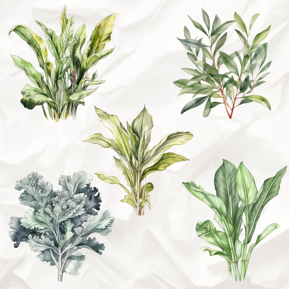Greenery Watercolor Clipart, Wild Greenery Clipart, Green Leaves ...