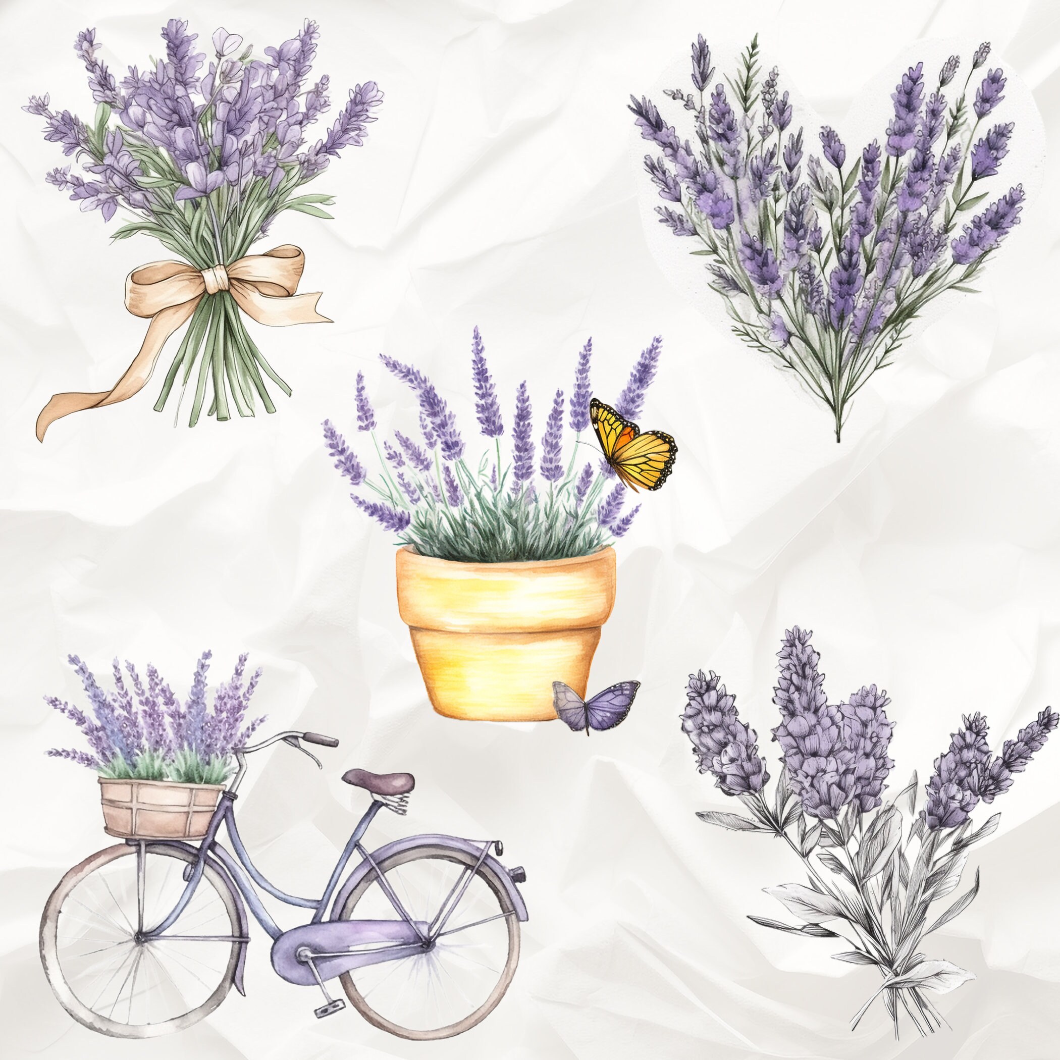 Watercolor Lavender Clipart Watercolor Provence Clipart - Etsy