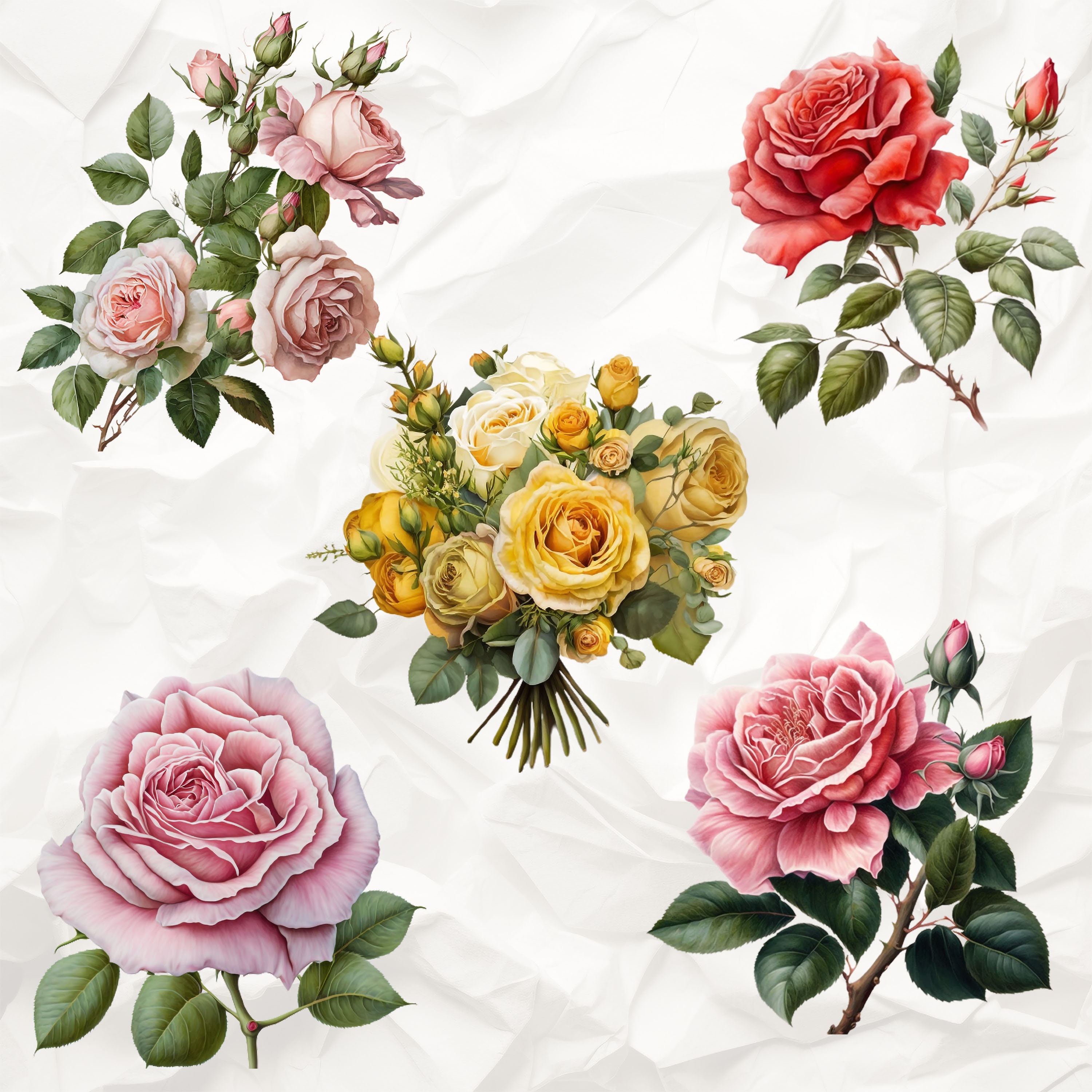 Watercolor Roses Clipart, Roses and Leaves PNG, Roses Clipart ...