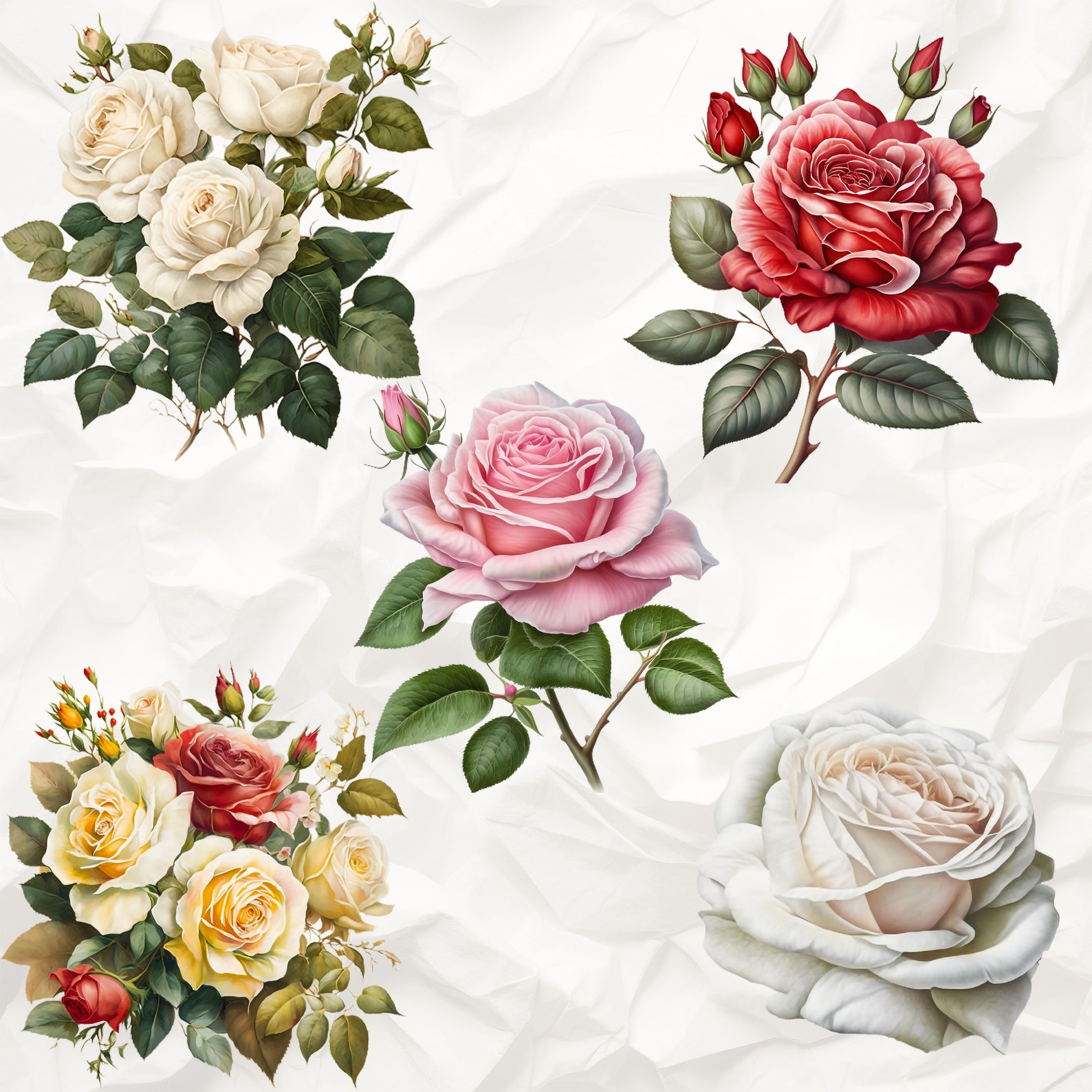 Watercolor Roses Clipart, Roses and Leaves PNG, Roses Clipart ...