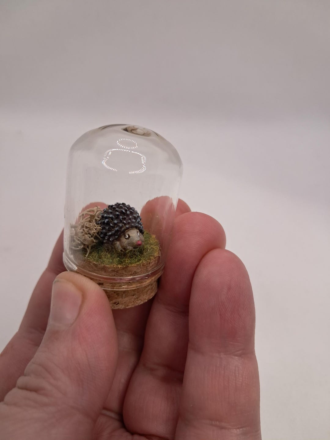 Cute Hedgehog Dome - Etsy