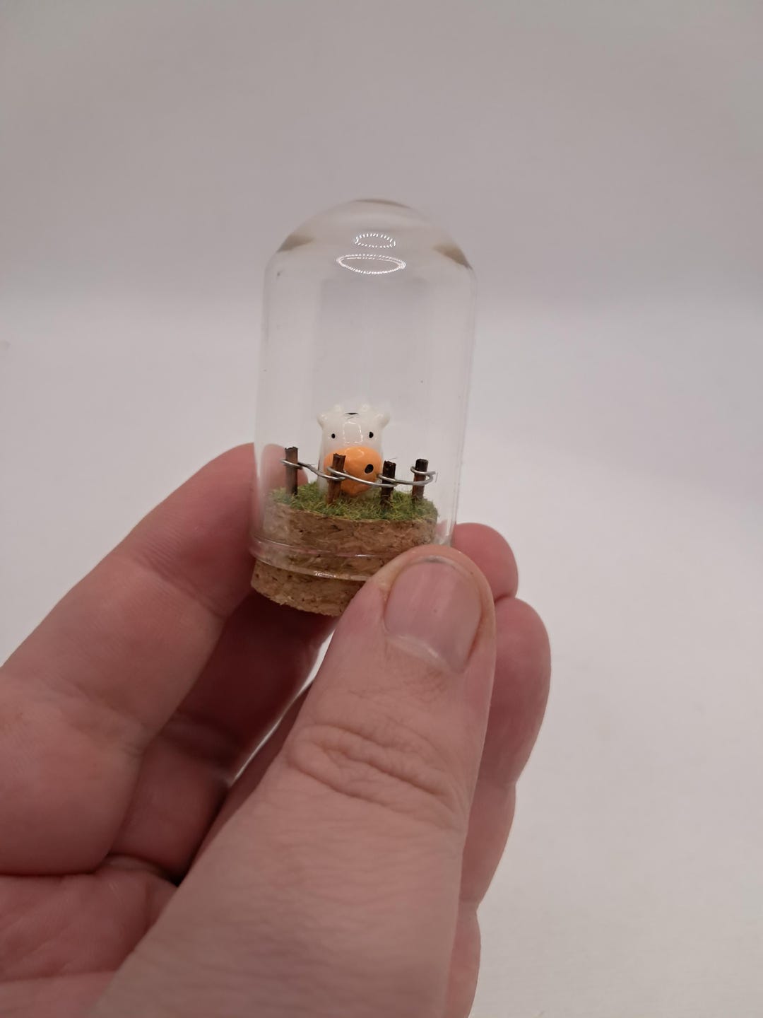 Cute Cow Dome - Etsy