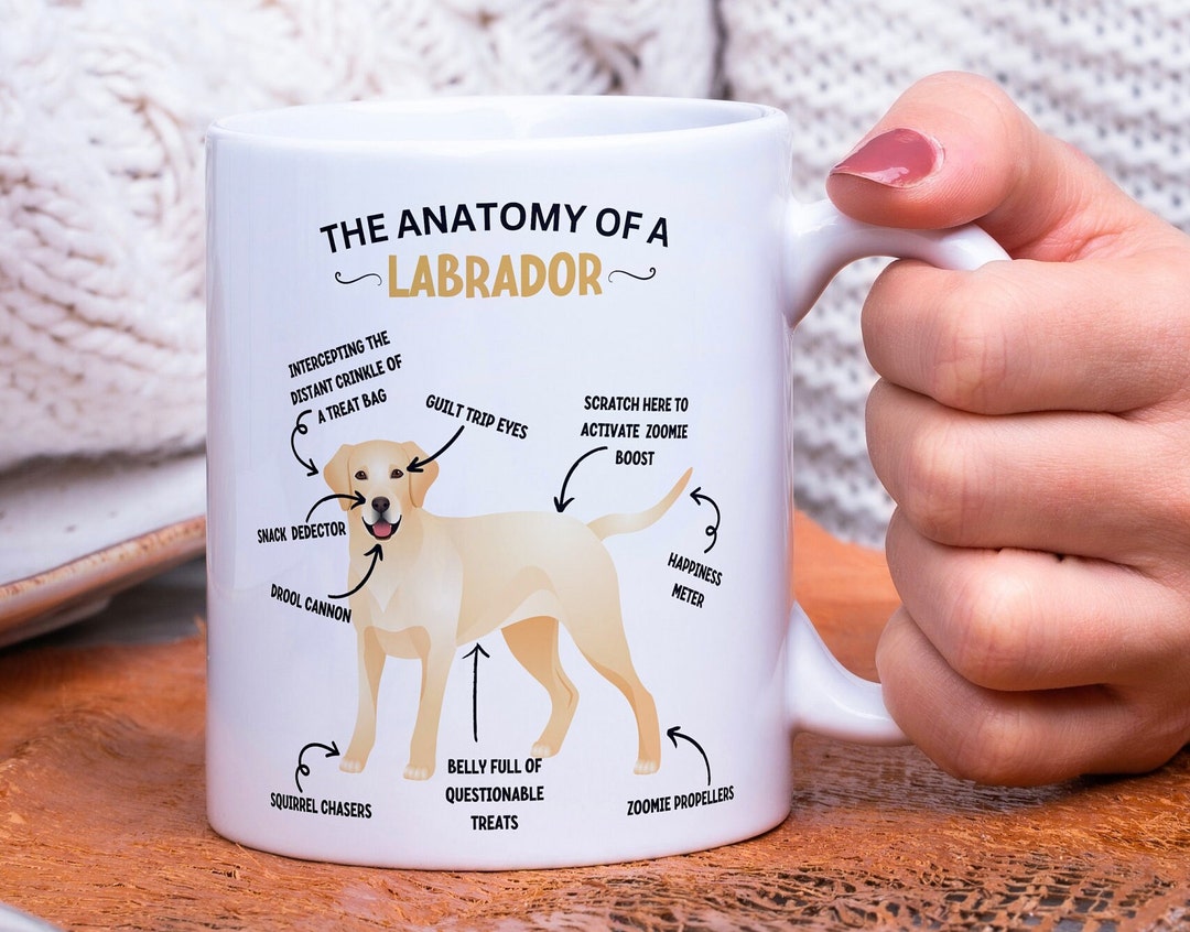 Yellow Labrador Retriever Anatomy Mug, Funny Dog Lover's Cup, Hilarious ...
