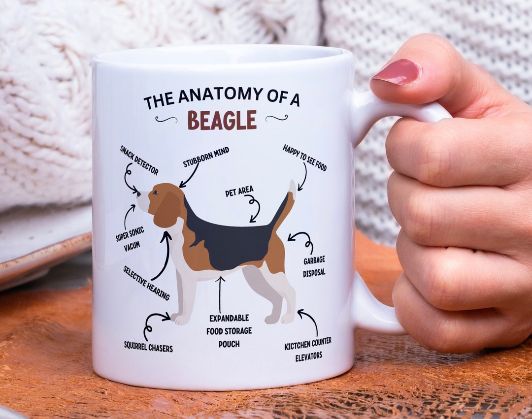 Beagle Anatomy Mug, Funny Dog Lovers Cup, Funny Beagle Gift, Quirky Dog ...