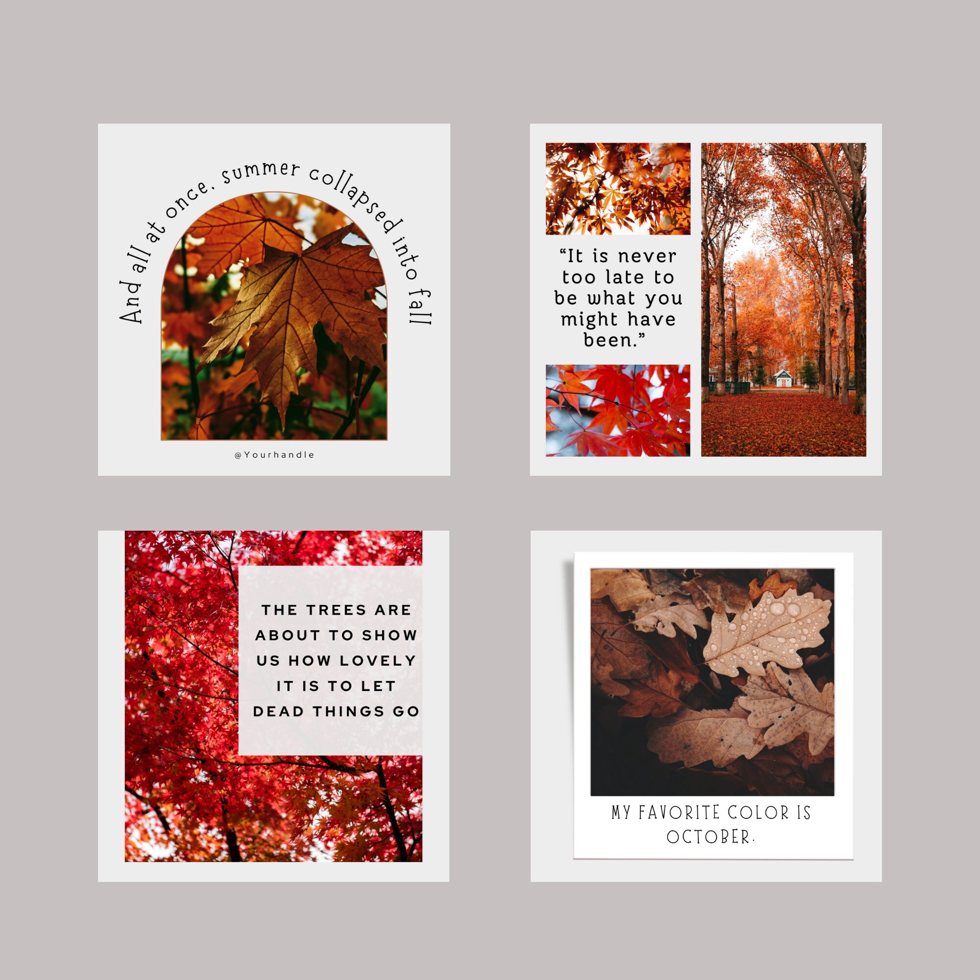 Autumn Instagram Post Templates: Fall Social Media (canva, 60 Posts) - Etsy