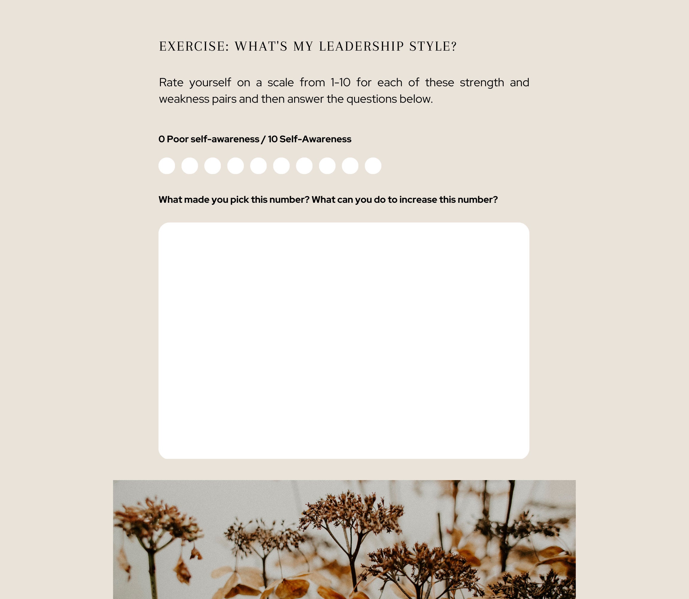 Leadership Mindset Workbook, Successful Leadership Journal, Leadership ...