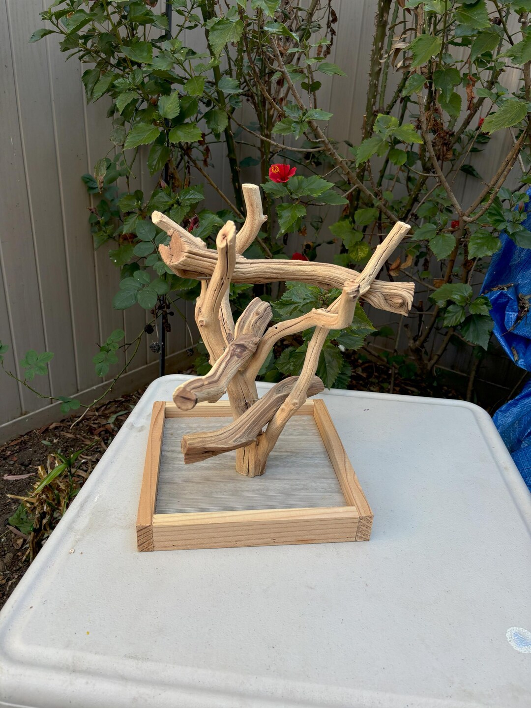Bird Stand Tabletop Playground 4 - Etsy