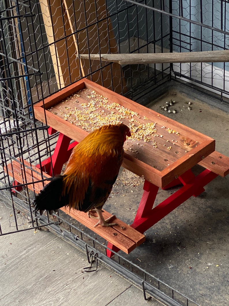 Chicken Table Feeders - Etsy