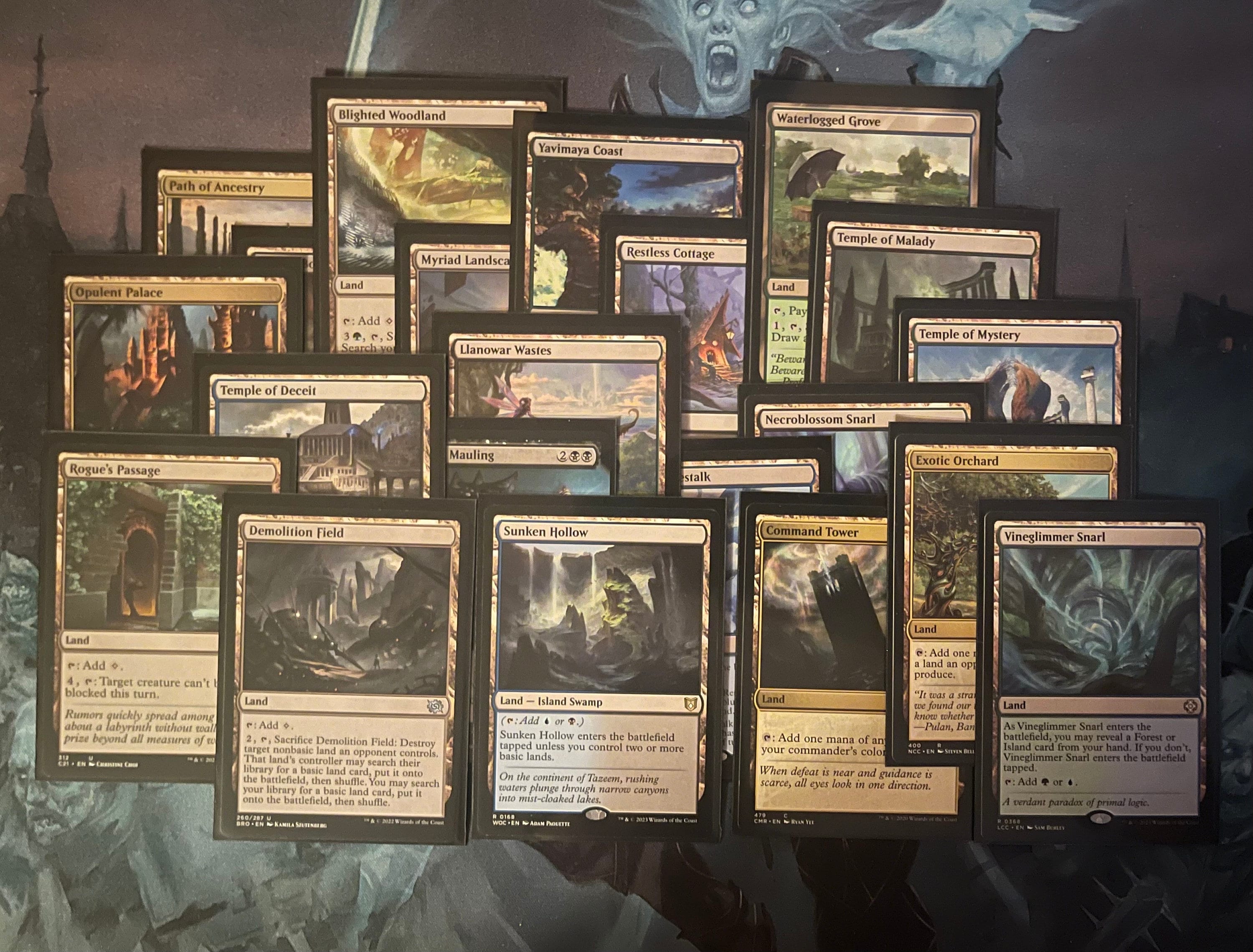 Magic the Gathering Sleeved and Boxed Custom Commander. Henry Wu, Ingen ...