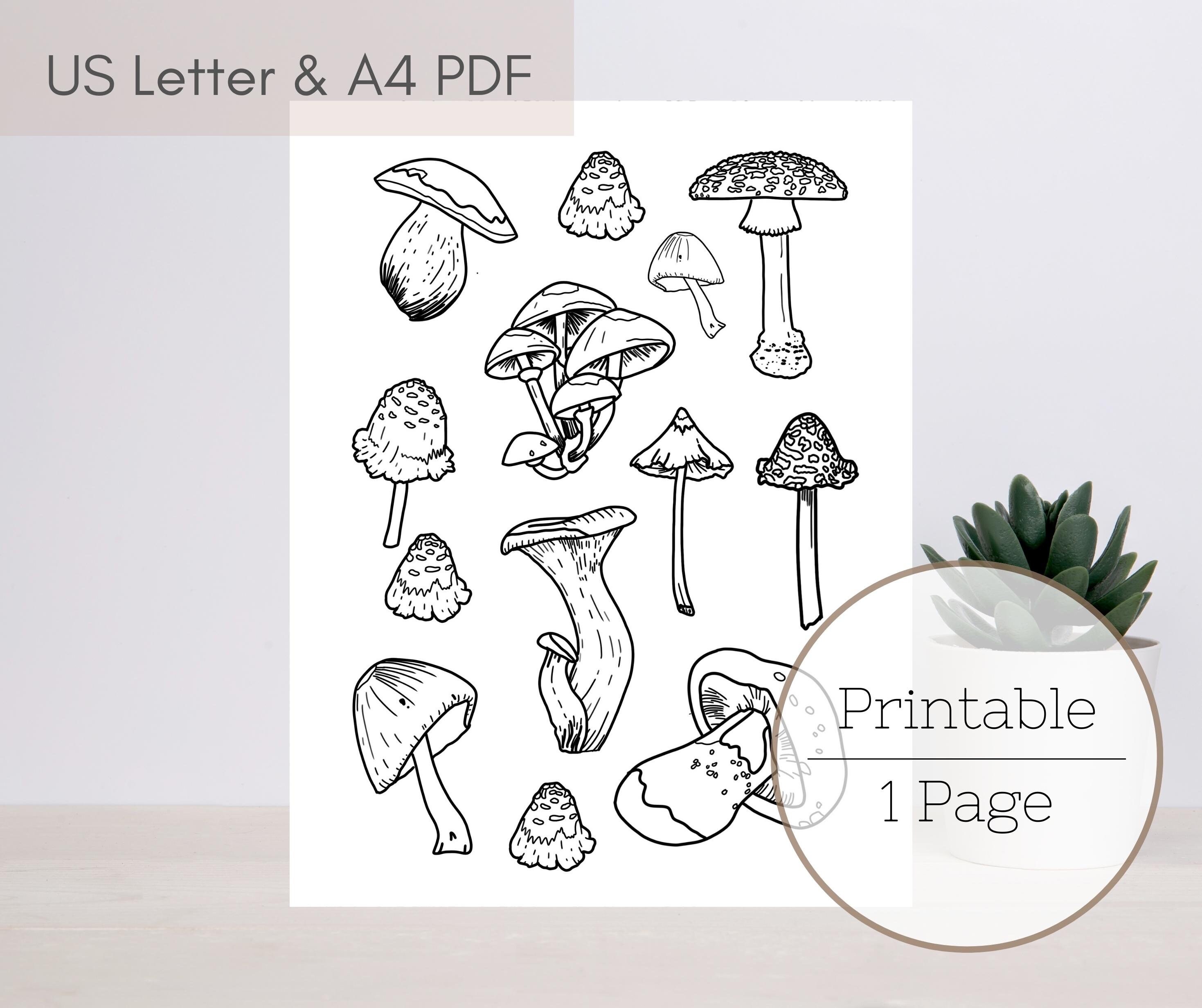 Single Coloring Page for Adults Mushrooms 1 Printable - Etsy