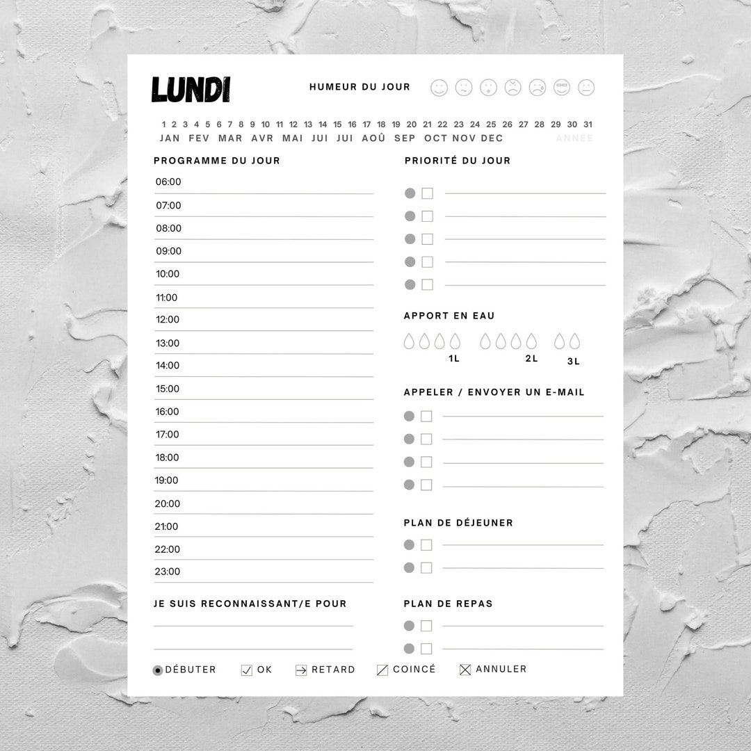 Agenda Journalier Imprimable Français - Etsy