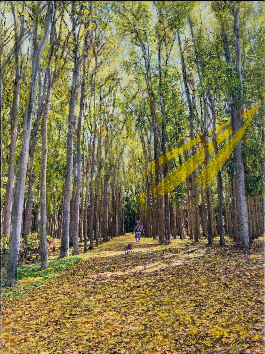 Kauai Mahogany Forest - Fine Art Print, Hawaii, Kent Faulkner - Etsy