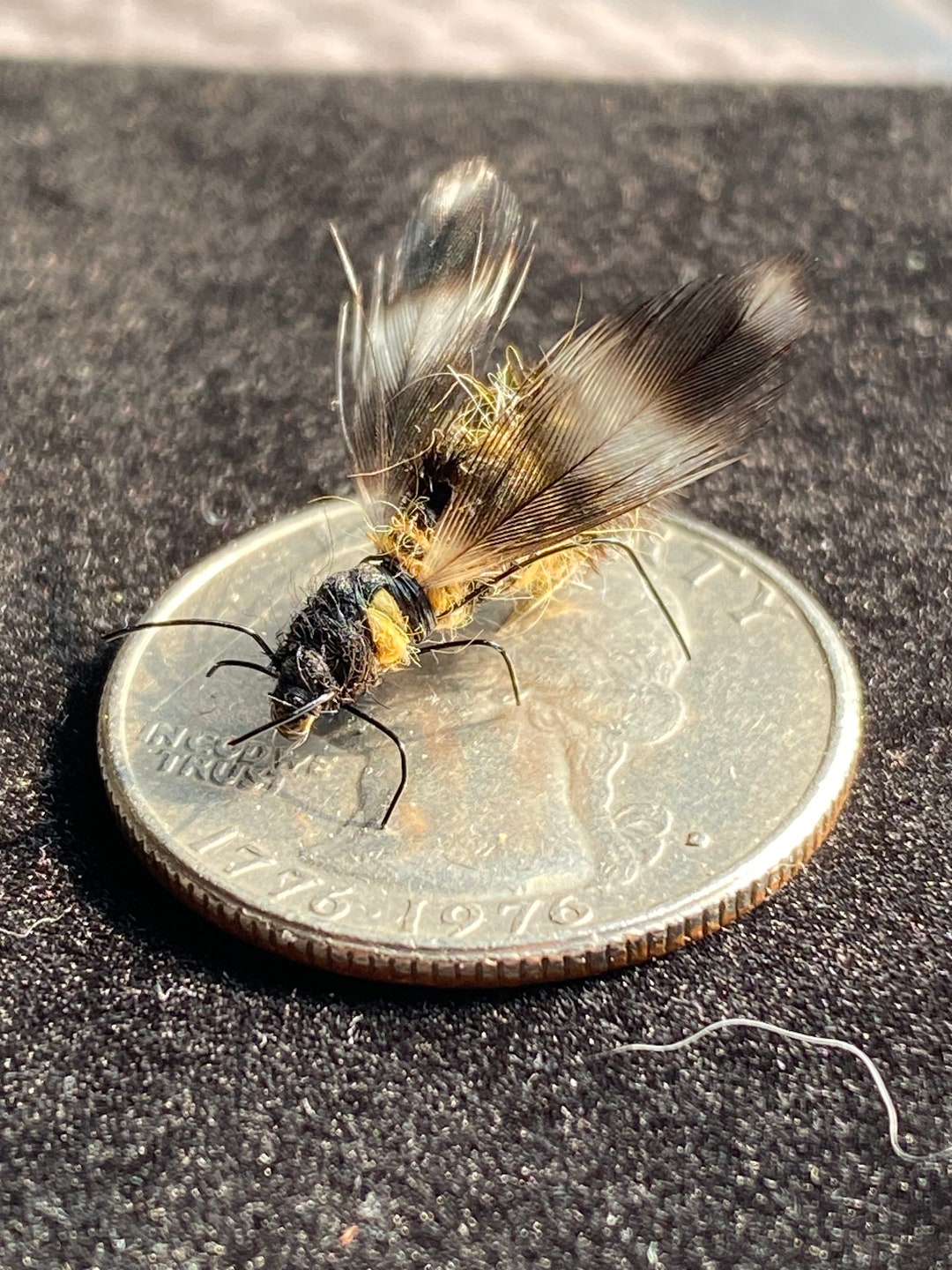 Realistic Bumble Bee - (3) Hi-vis Dry Fly - Etsy