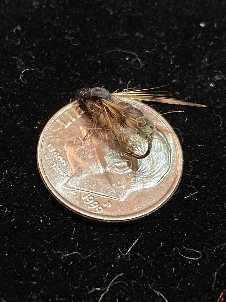 Realistic Housefly - (3) Foam Dry Fly - Etsy