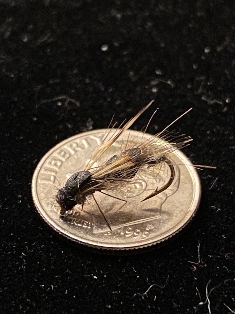 Realistic Housefly - (3) Foam Dry Fly - Etsy