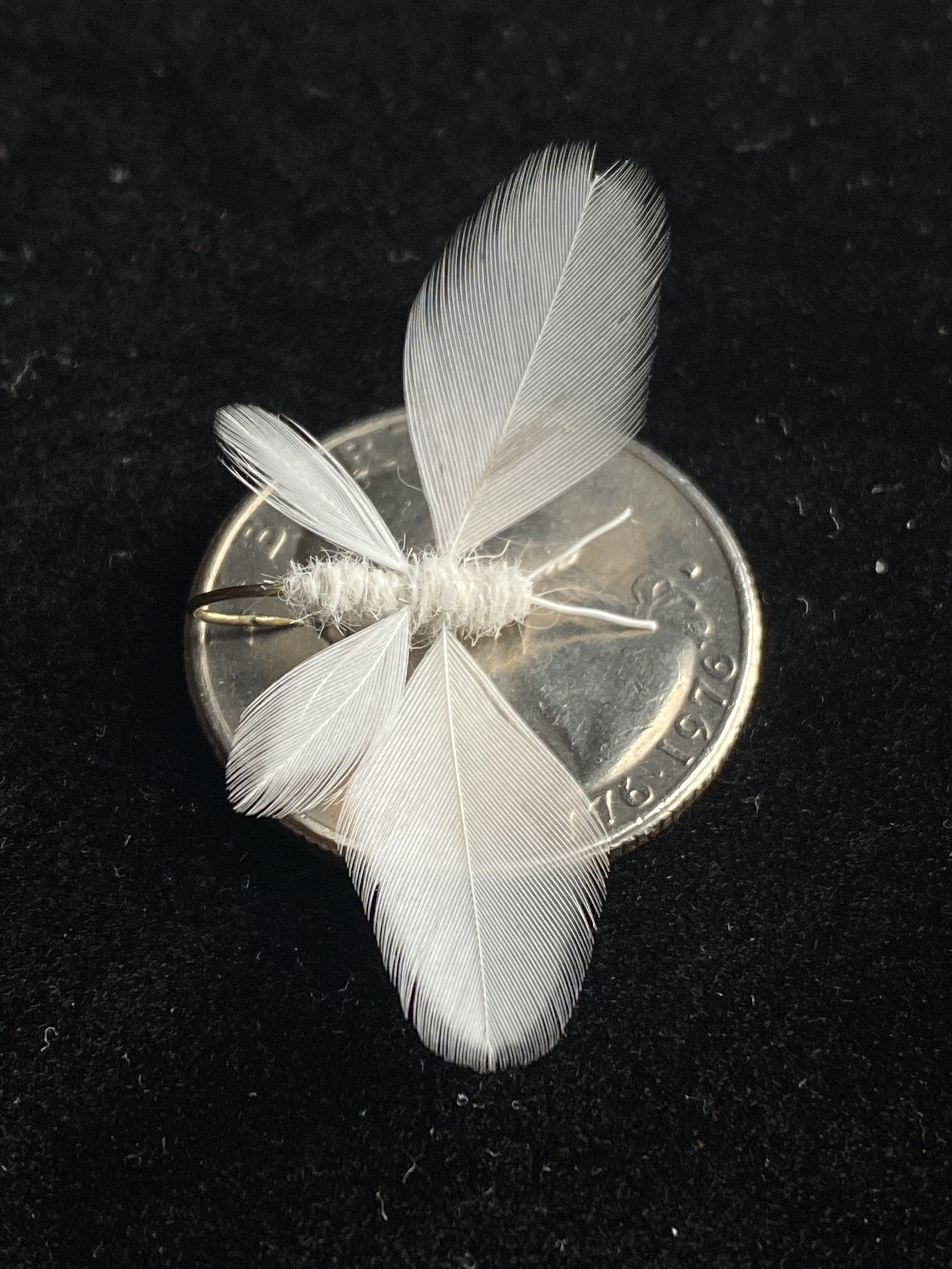 Realistic Moth or White Butterfly - Hi-vis Dry Fly - Etsy