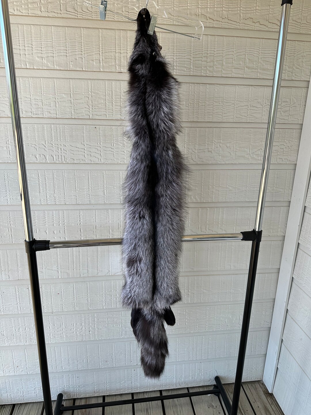 Silver Fox Pelt, no Ears - Etsy