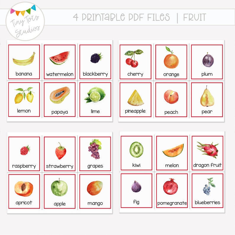 24 Fruit Flash Cards Educational Flash Cards Pre-school Kindergarten ...