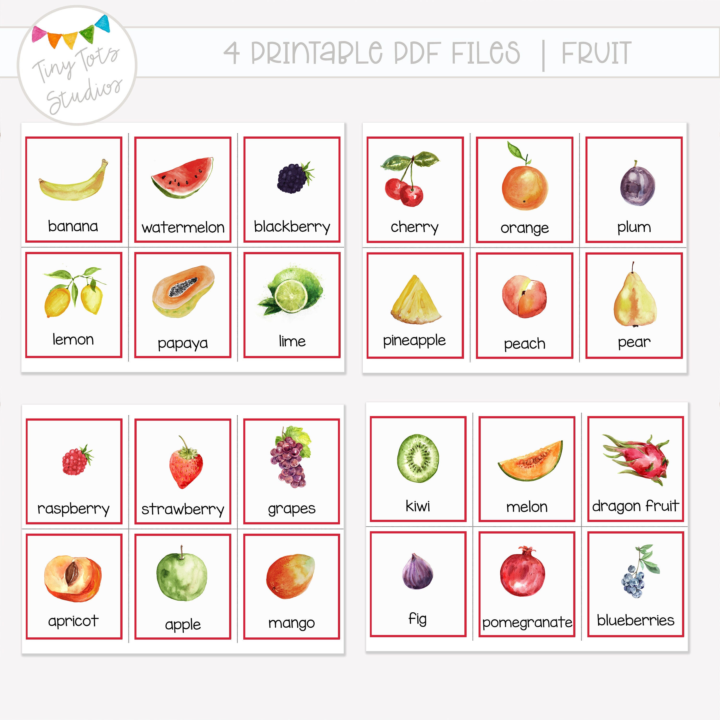 24 Fruit Flash Cards Educational Flash Cards Pre-school Kindergarten ...