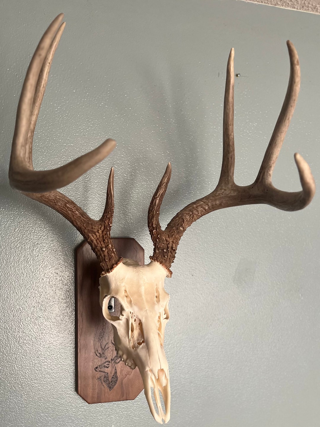 European Wall Plaque - Etsy