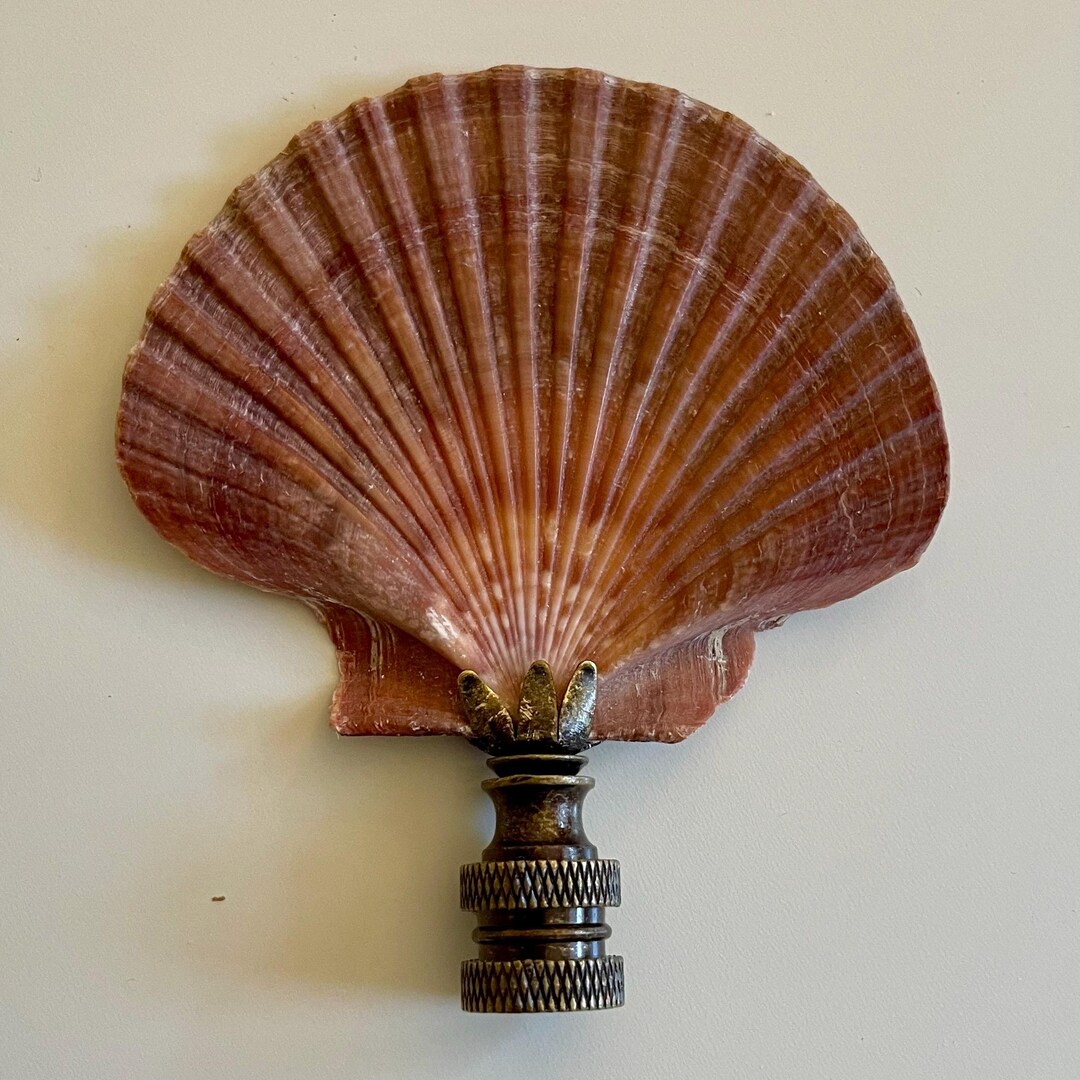 Handmade Sea Shell Finial: Coastal Decor, 3.5 Inches - Etsy