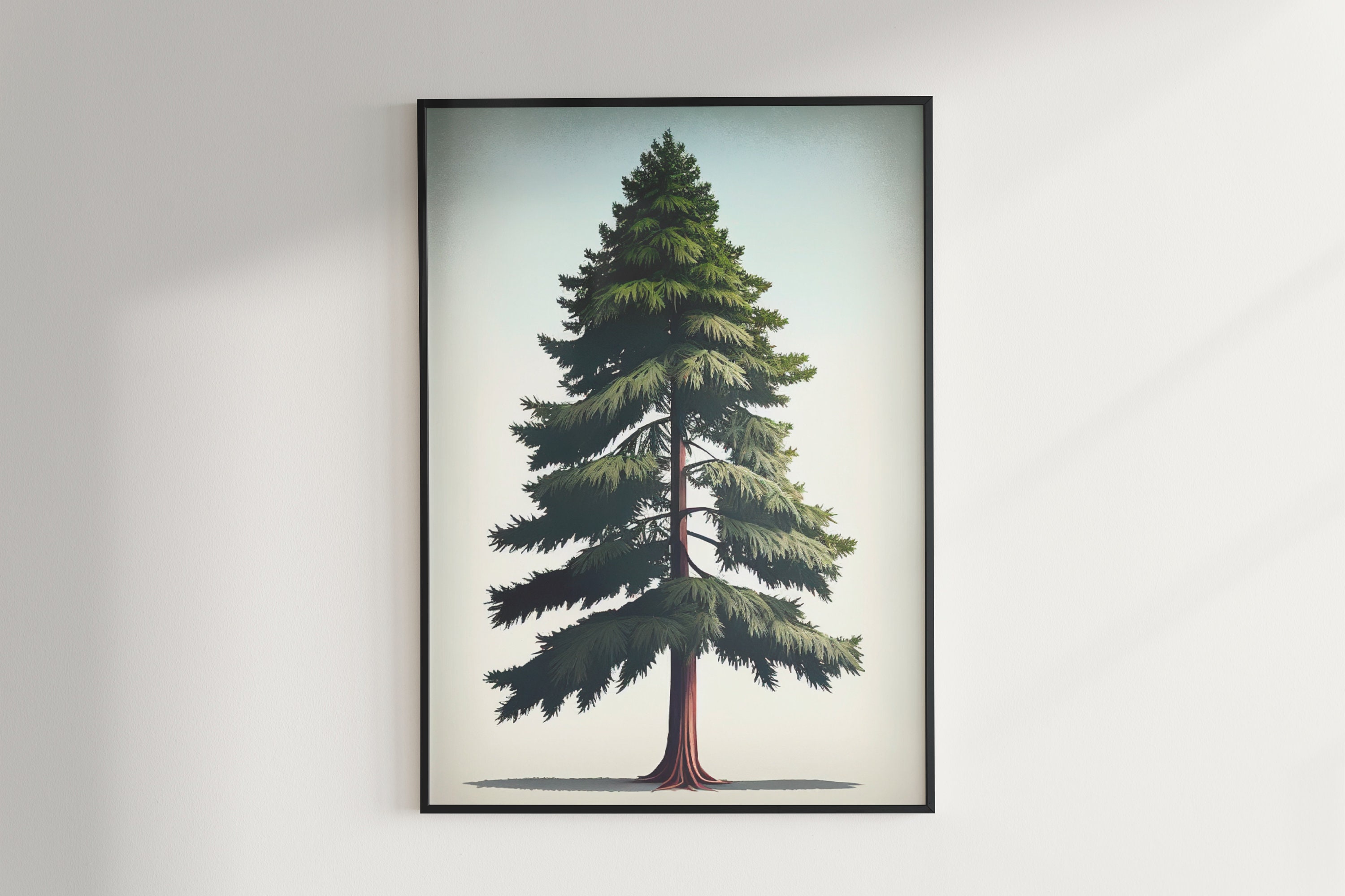 Cedar Tree Drawing