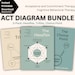 ACT Diagram Bundle: Acceptance and Commitment Therapy Hexaflex, Triflex ...