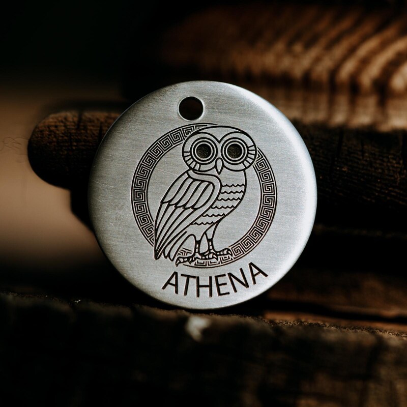 Athena Owl - Etsy