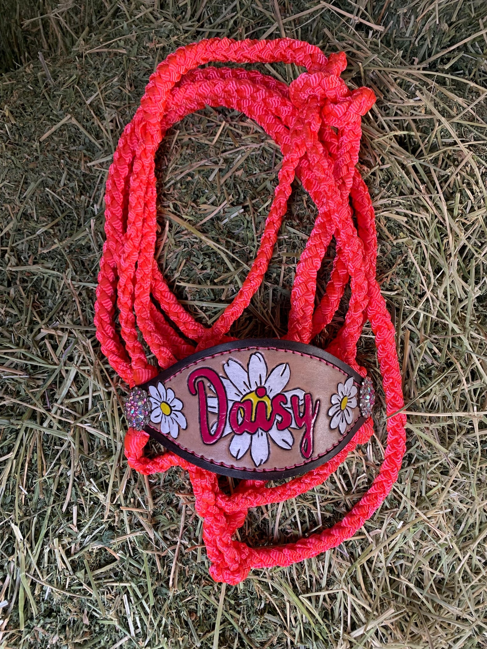 Custom Name Halters - Etsy