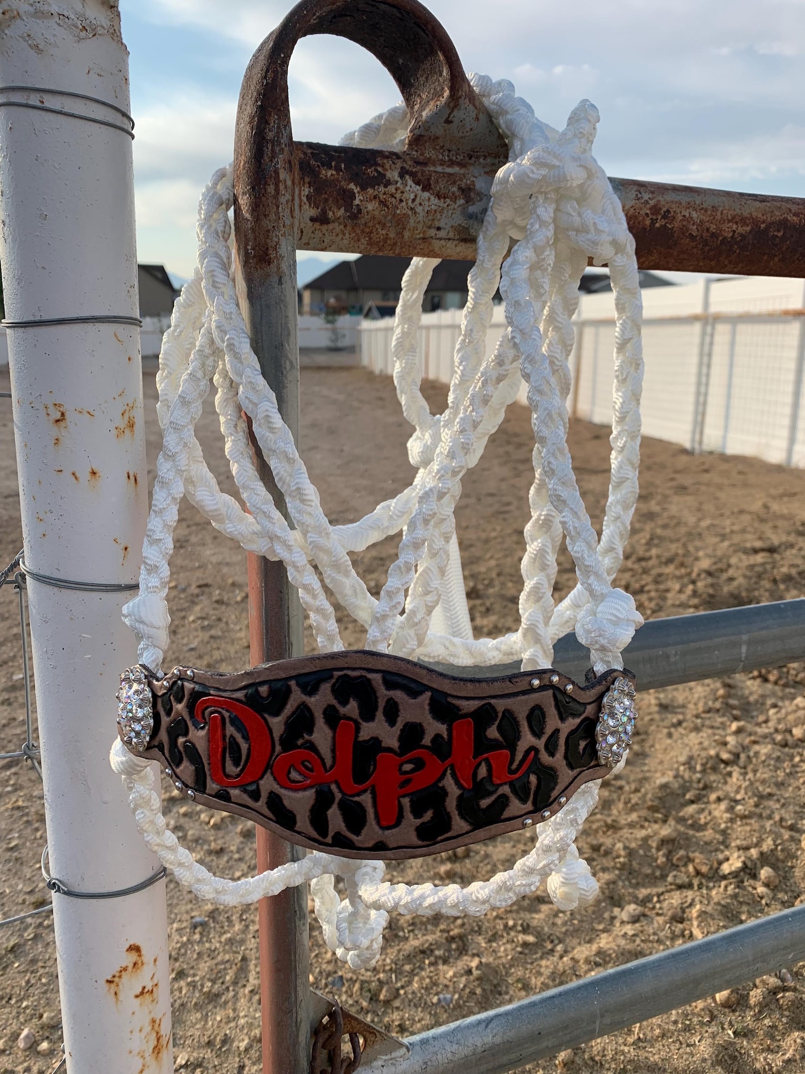 Custom Name Halters - Etsy