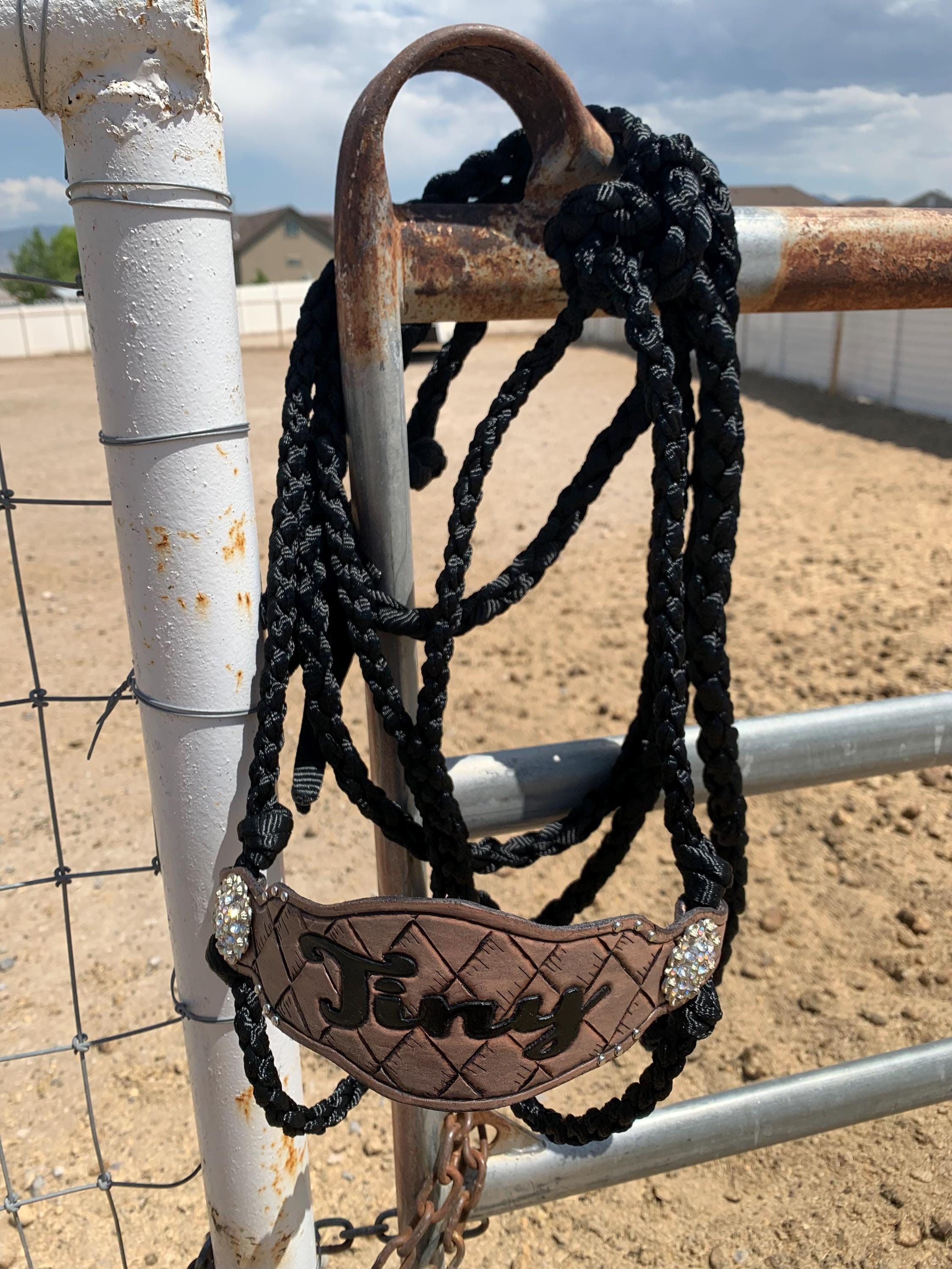 Custom Name Halters - Etsy