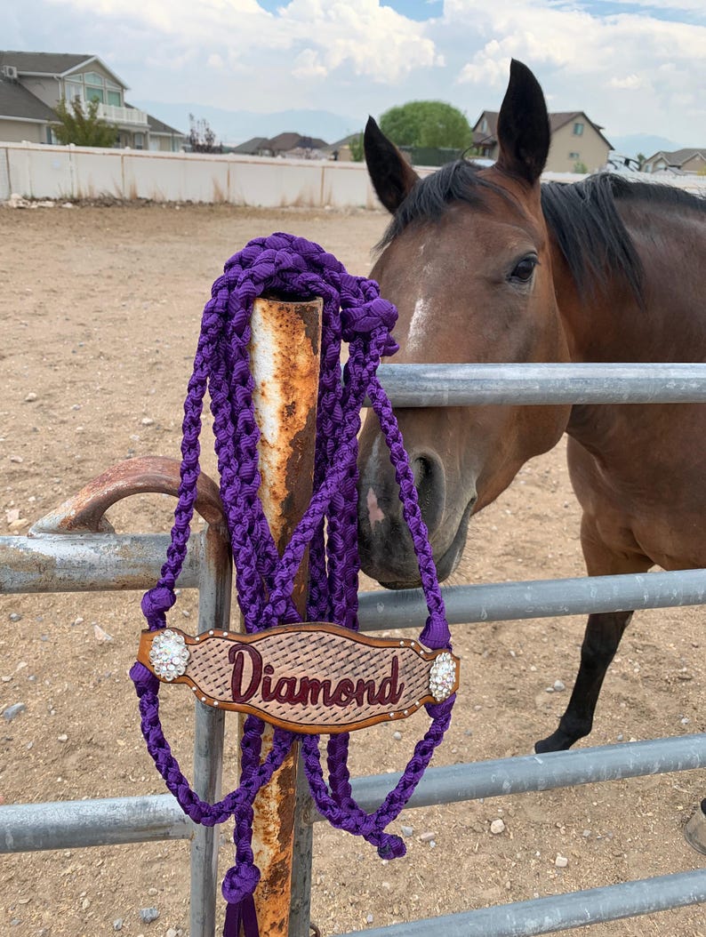 Custom Name Halters - Etsy