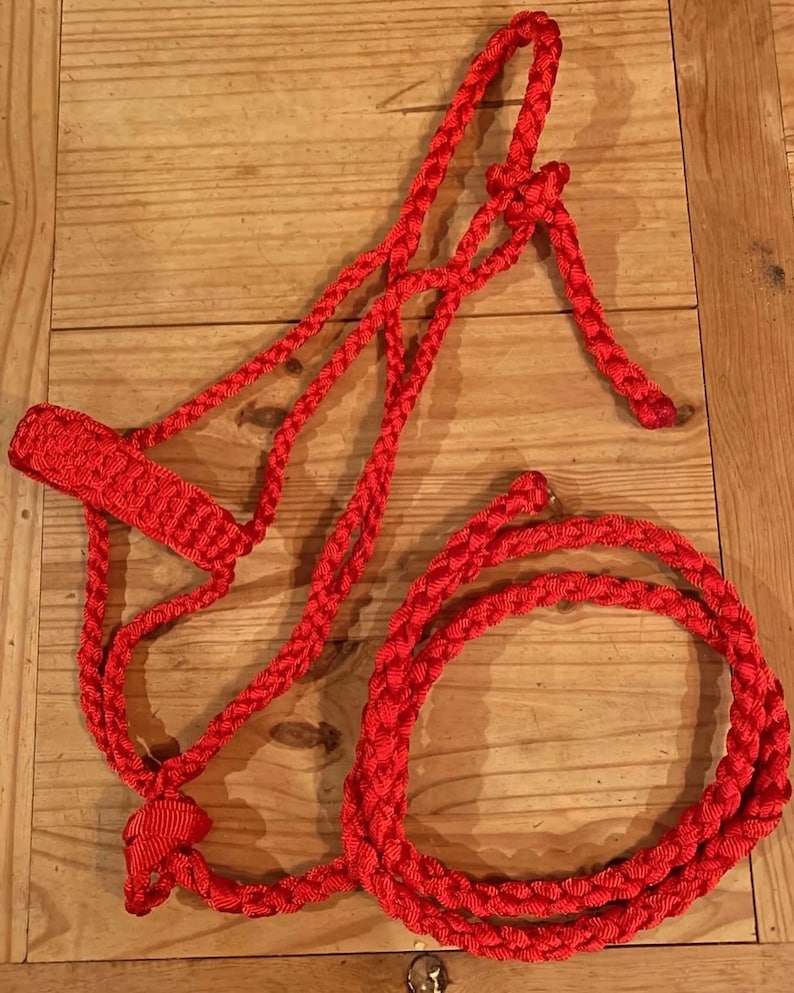 Mule Tape Halters - Etsy