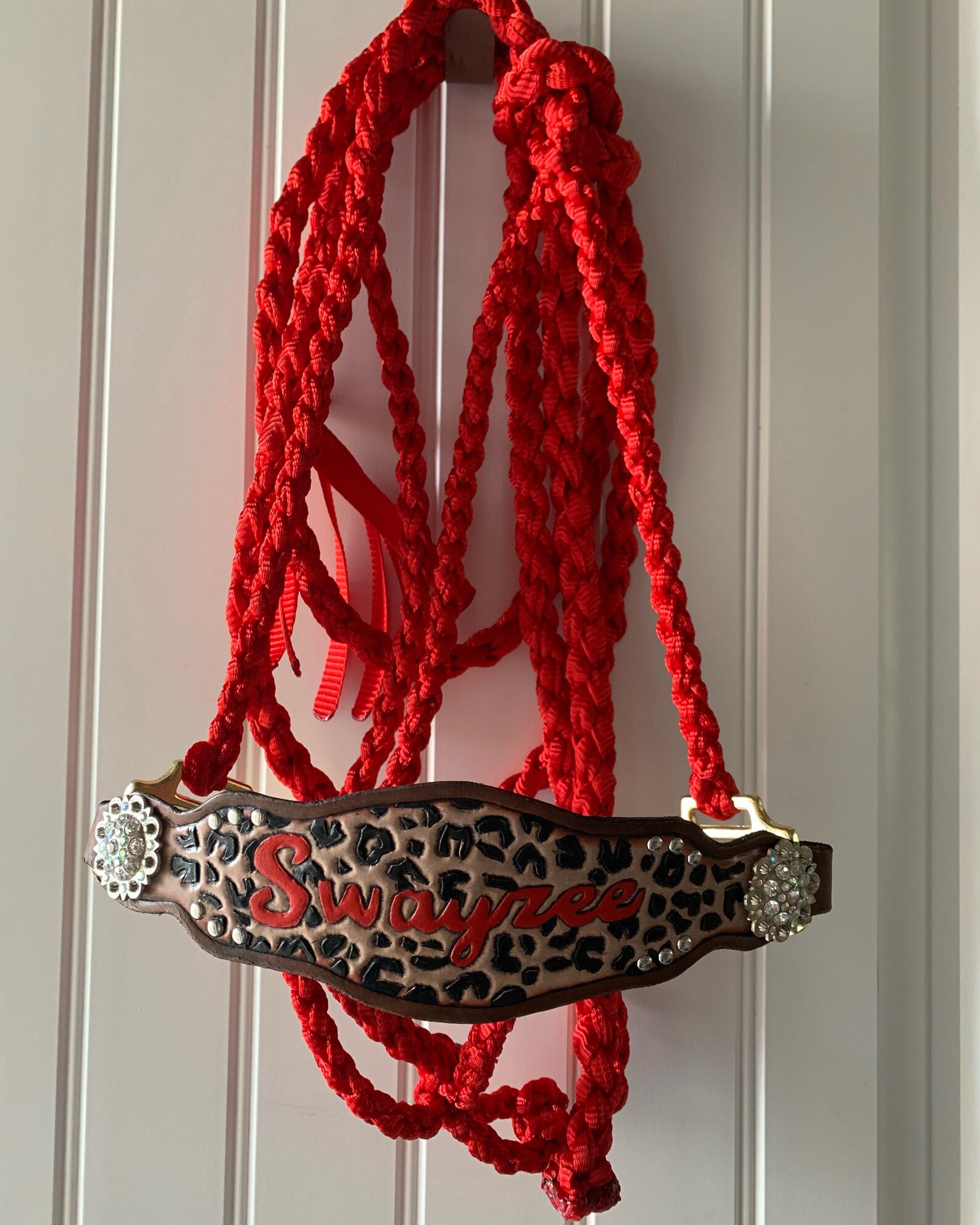 Custom Name Halters - Etsy