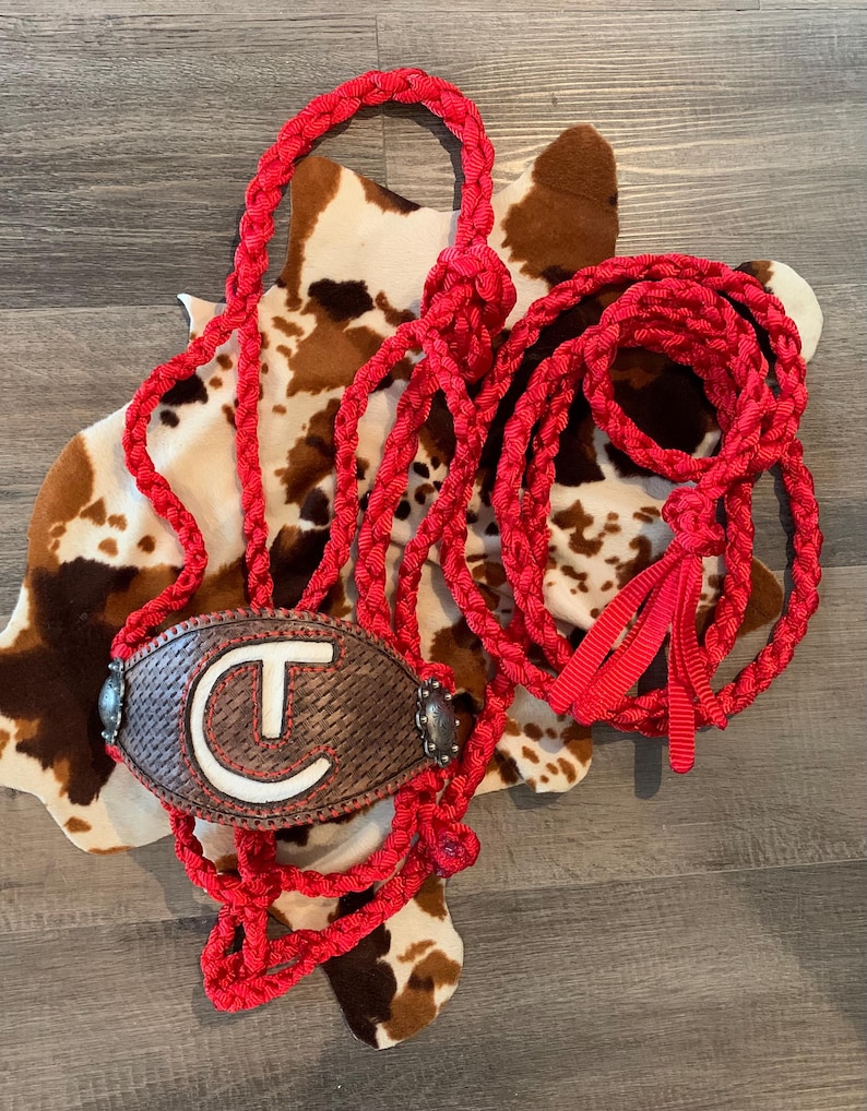 Custom Name Halters - Etsy