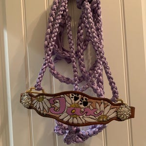 Custom Name Halters - Etsy