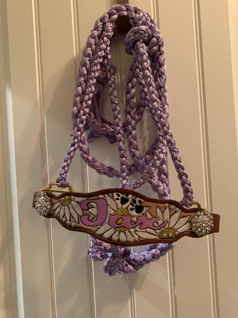 Custom Name Halters - Etsy