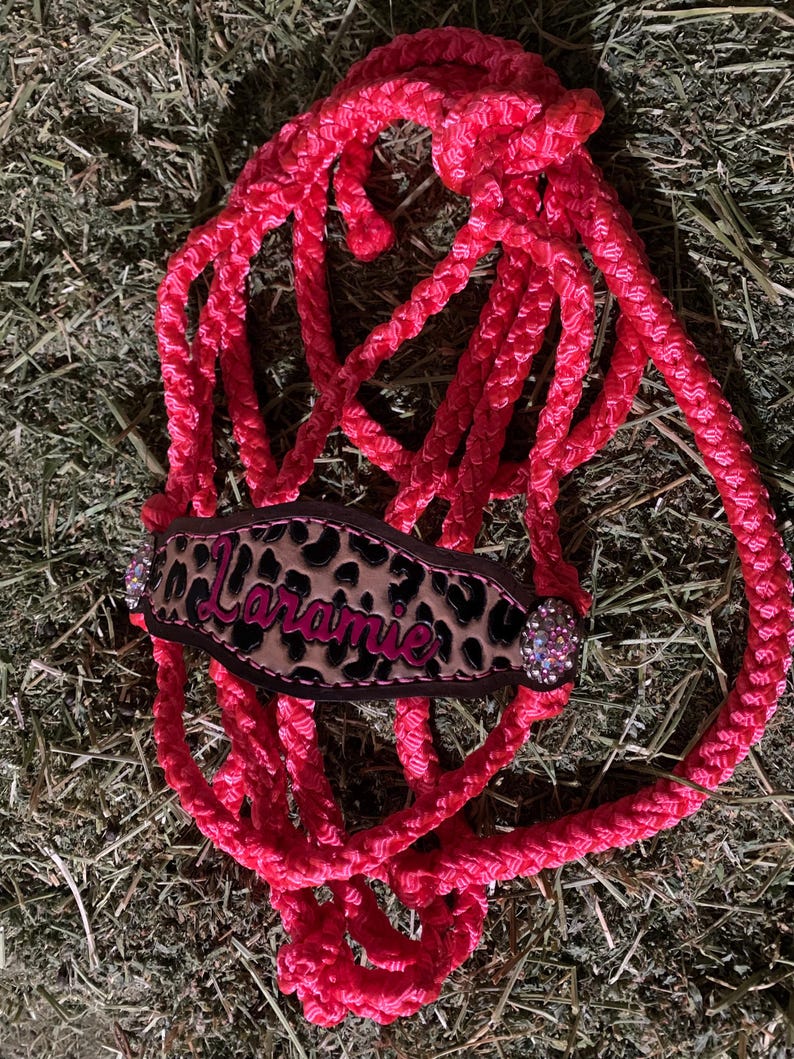 Custom Name Halters - Etsy