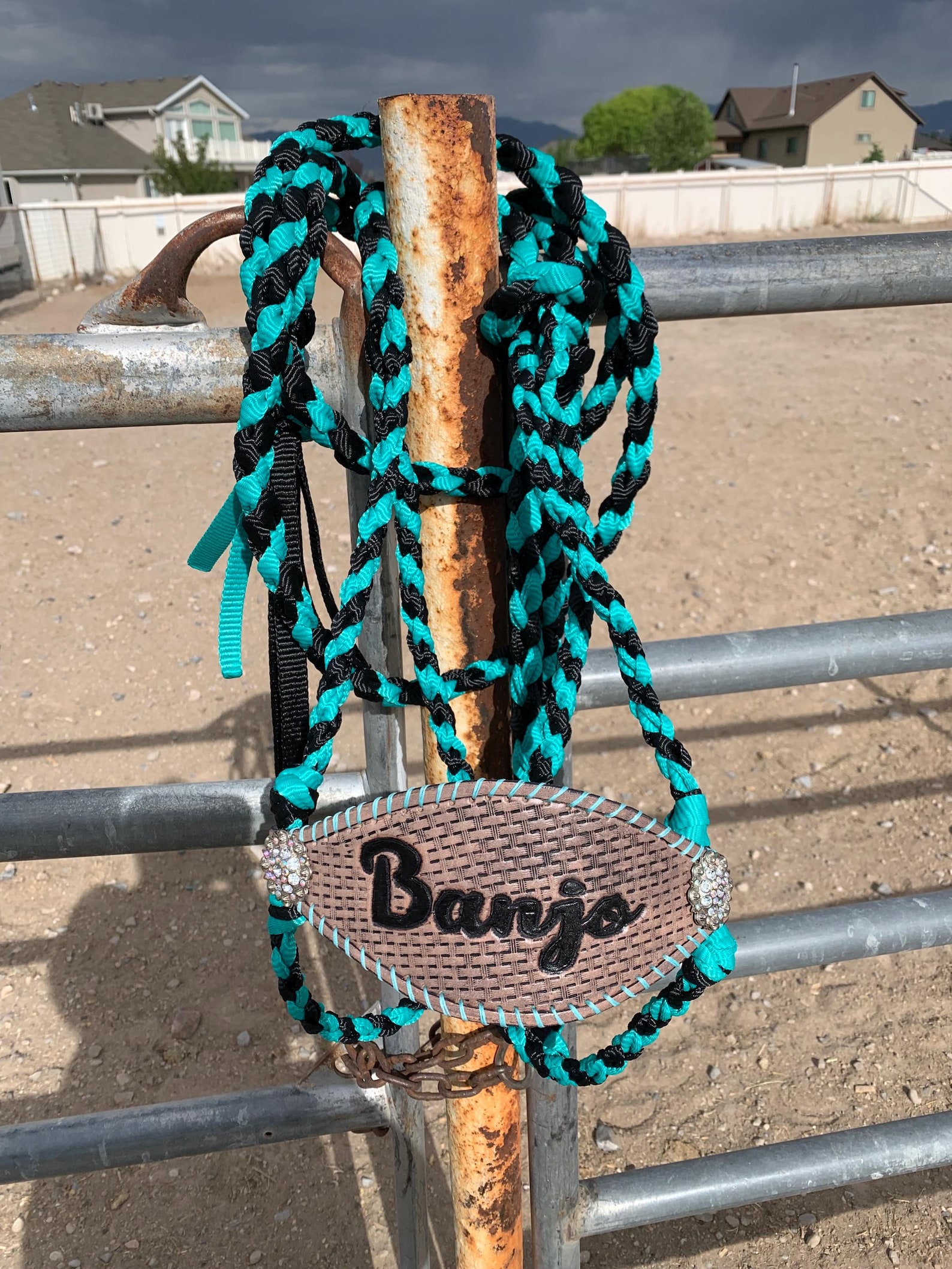 Custom Name Halters - Etsy