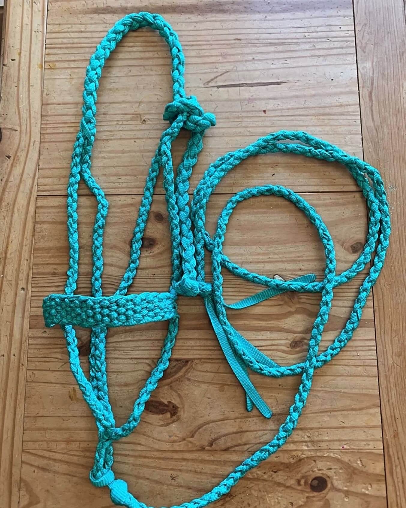 Mule Tape Halters - Etsy