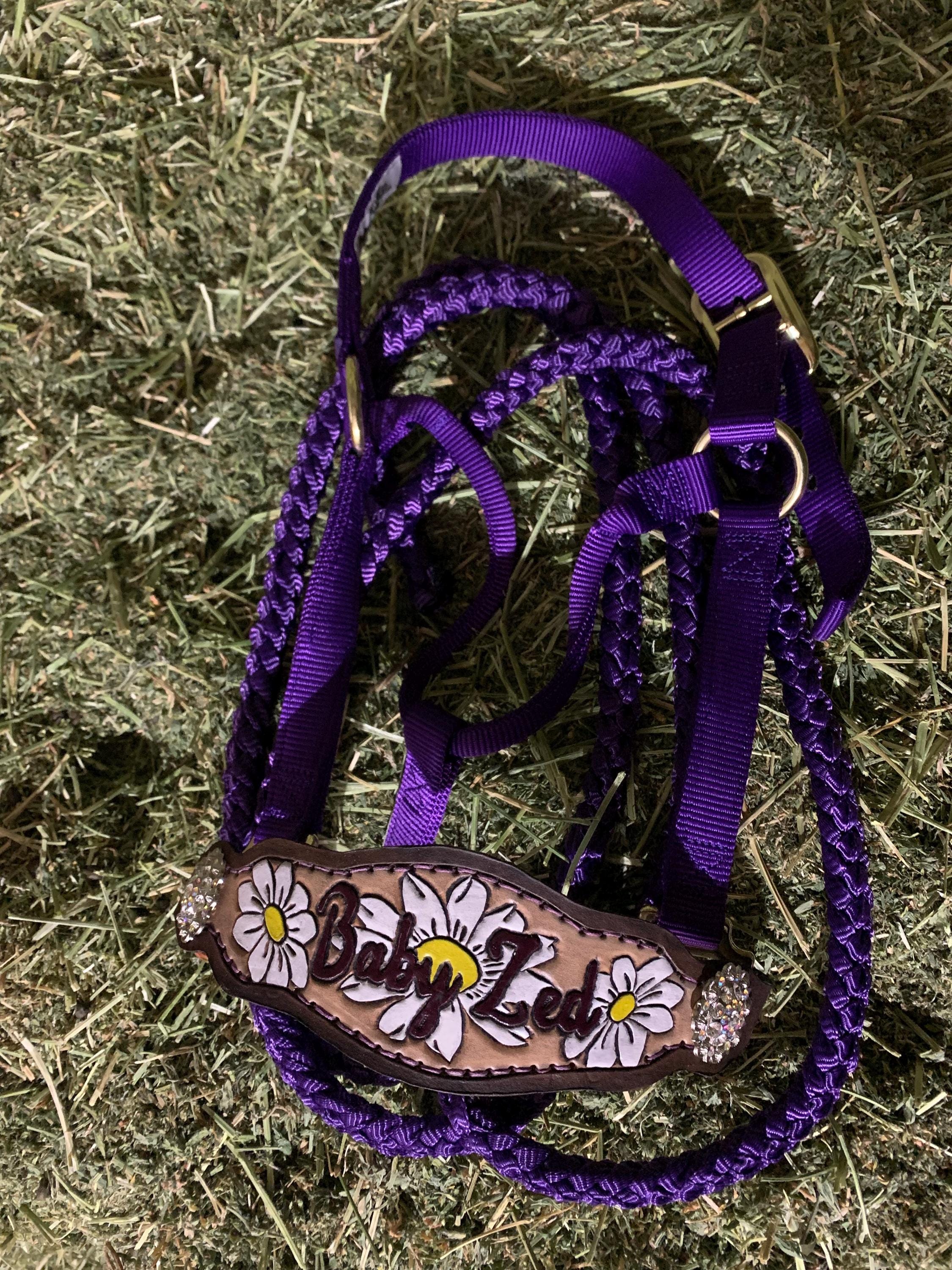 Custom Name Halters - Etsy