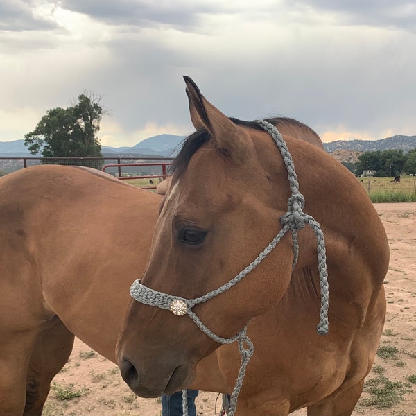 Mule Tape Halter - Etsy