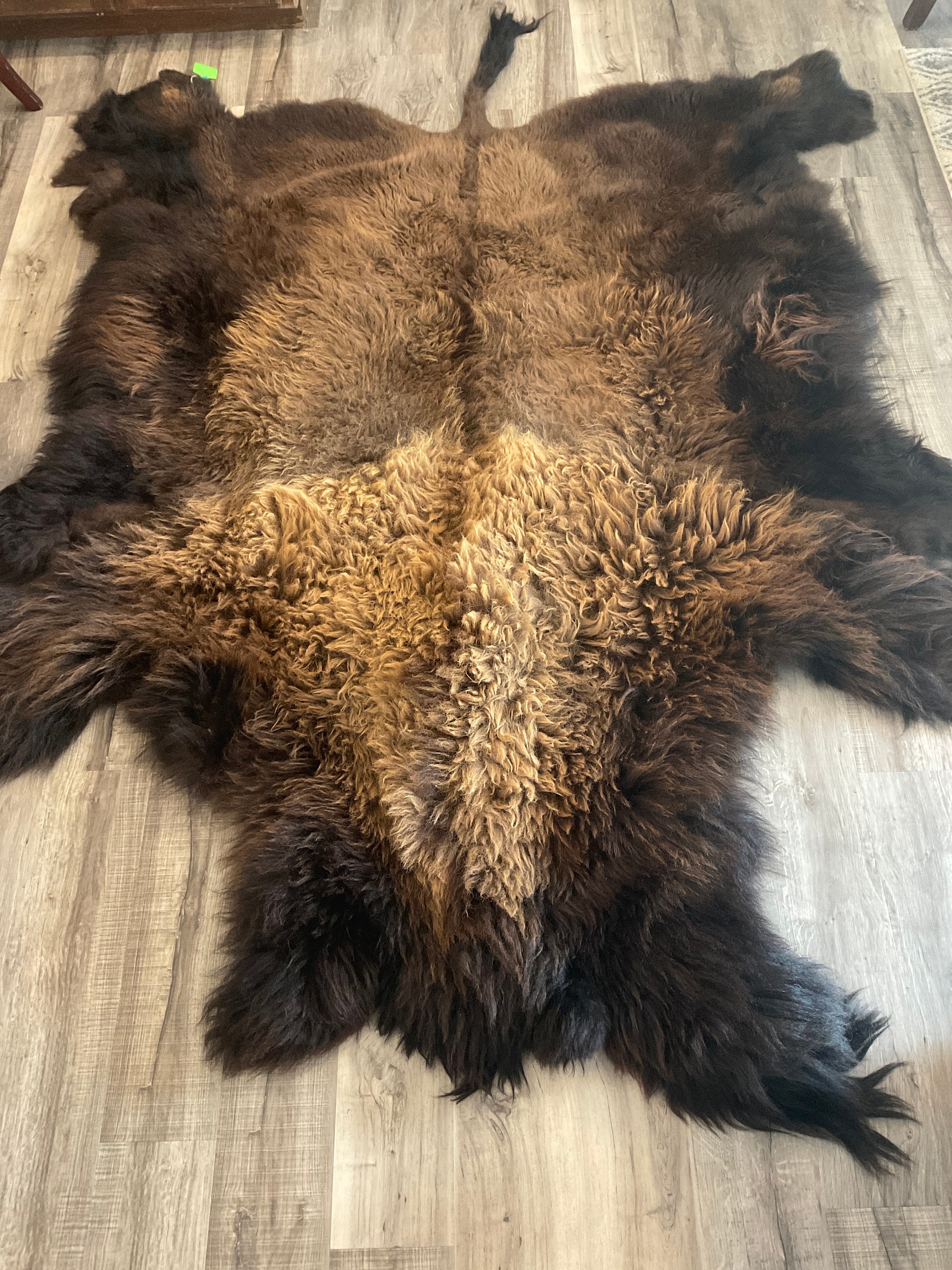 Bison Buffalo Hide Robe Fur Taxidermy Art Craft Powwow - Etsy