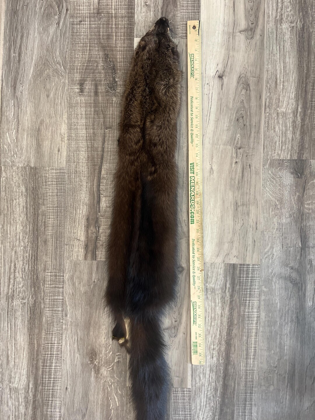 Fisher Fur Pelt Taxidermy Powwow Art Craft - Etsy