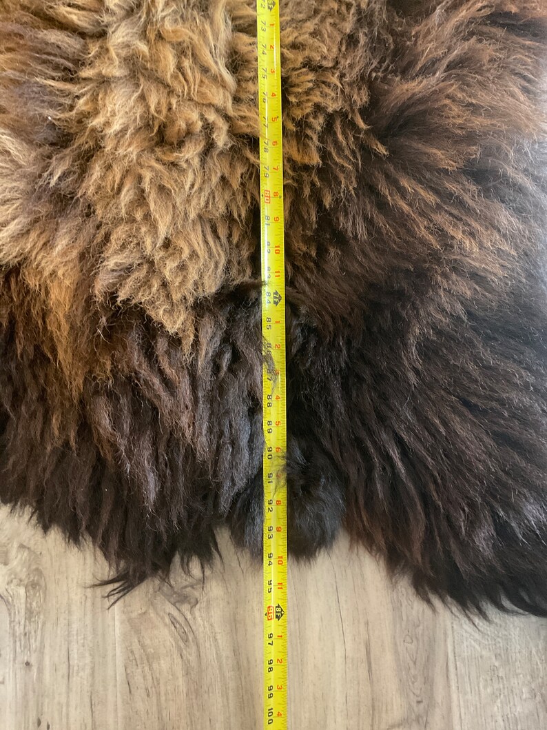 Bison Buffalo Hide Robe Fur Taxidermy Art Craft Powwow - Etsy