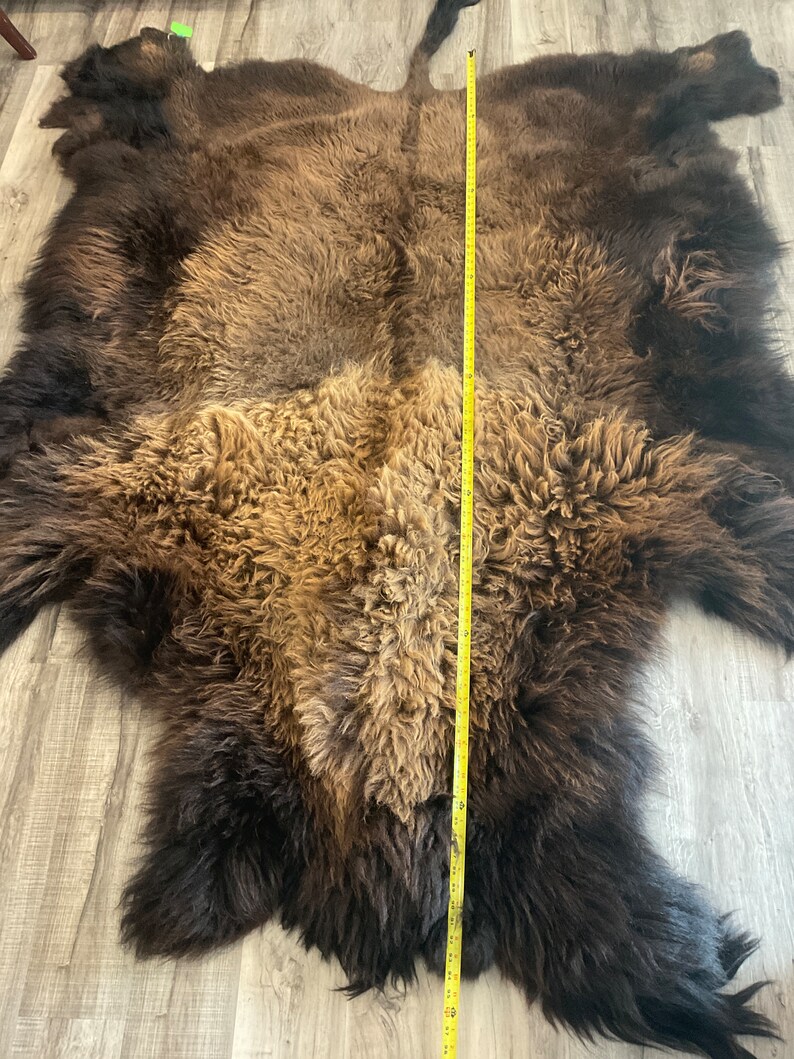 Bison Buffalo Hide Robe Fur Taxidermy Art Craft Powwow - Etsy