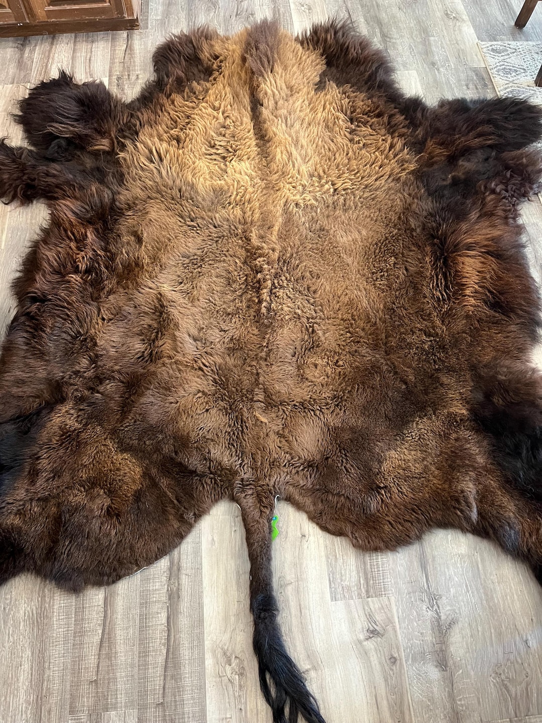 ND Bison Buffalo Hide Robe Taxidermy Fur Powwow Art Craft - Etsy